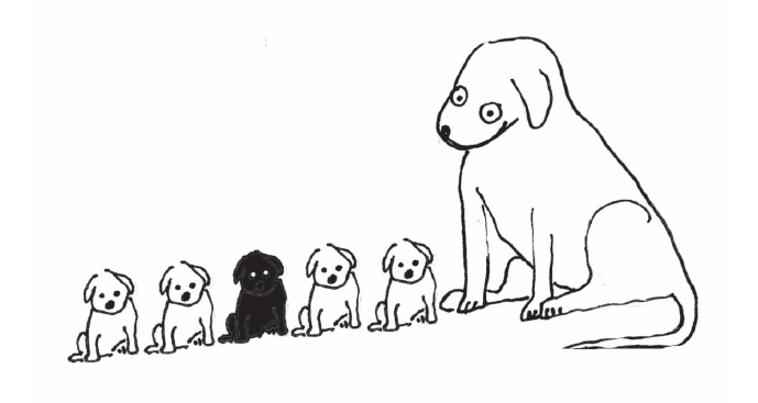 Scatterling, the book – That elusive pair of jeans