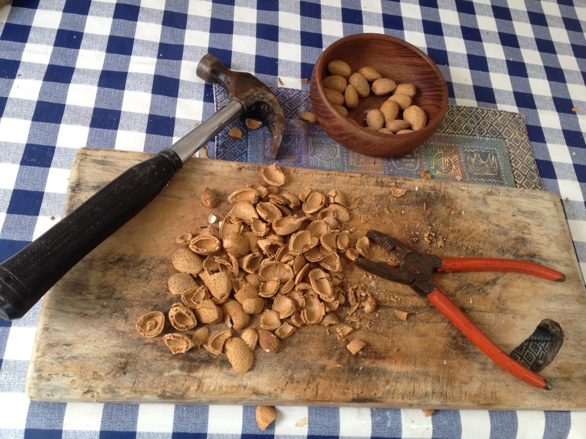 Smashed nuts – That elusive pair of jeans